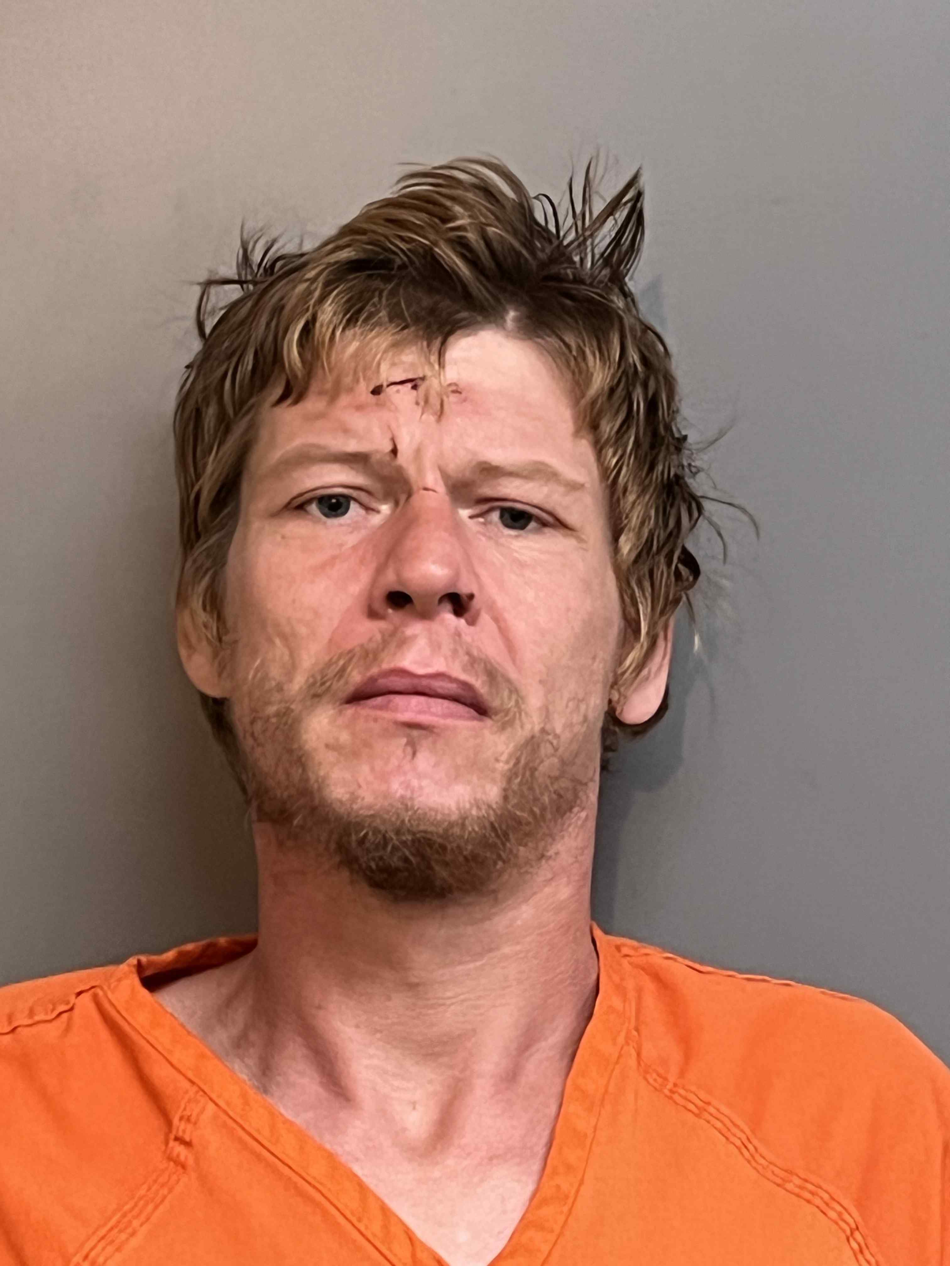 Booking and Release - GCSheriff.org