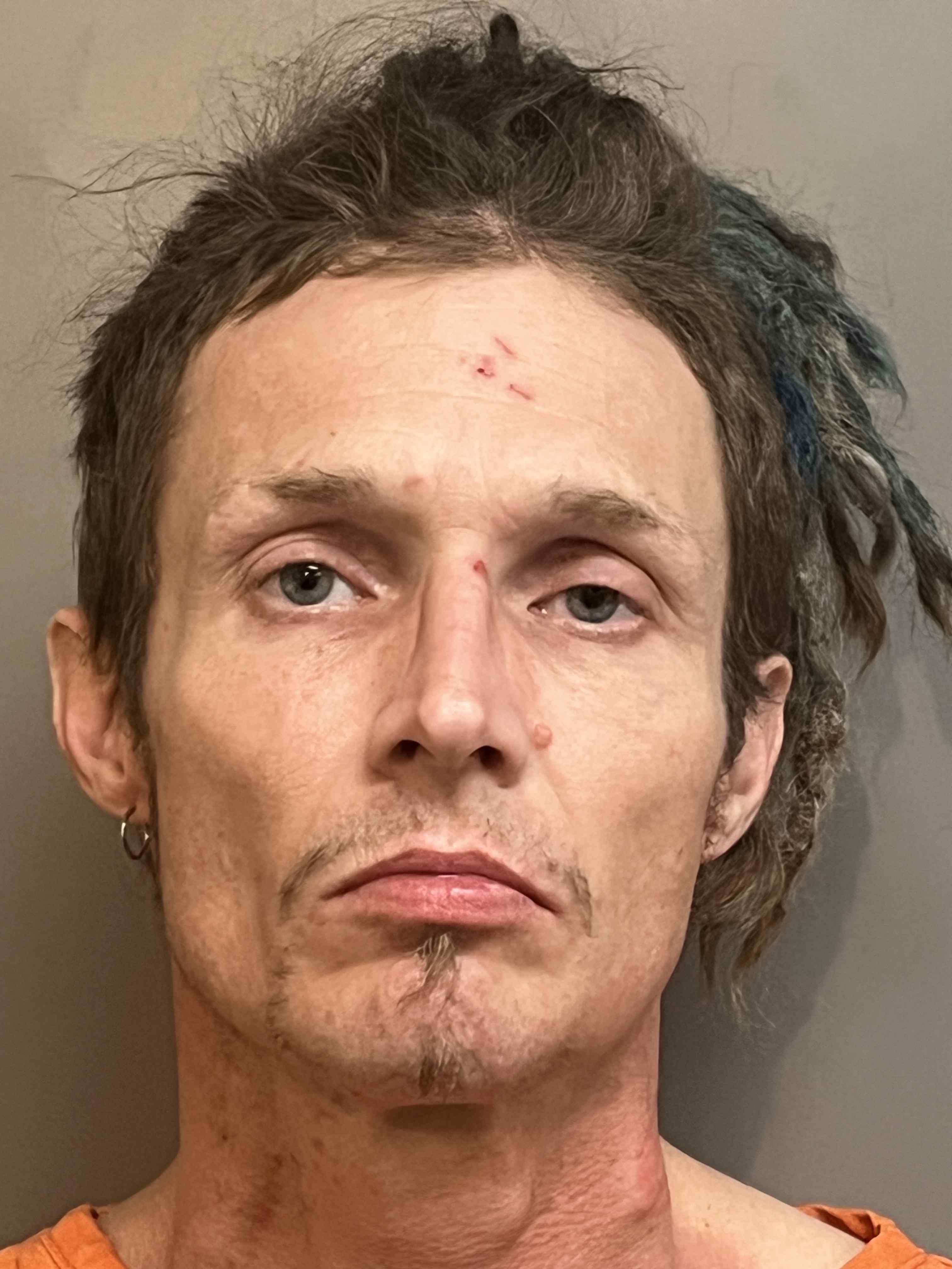 Booking and Release - GCSheriff.org