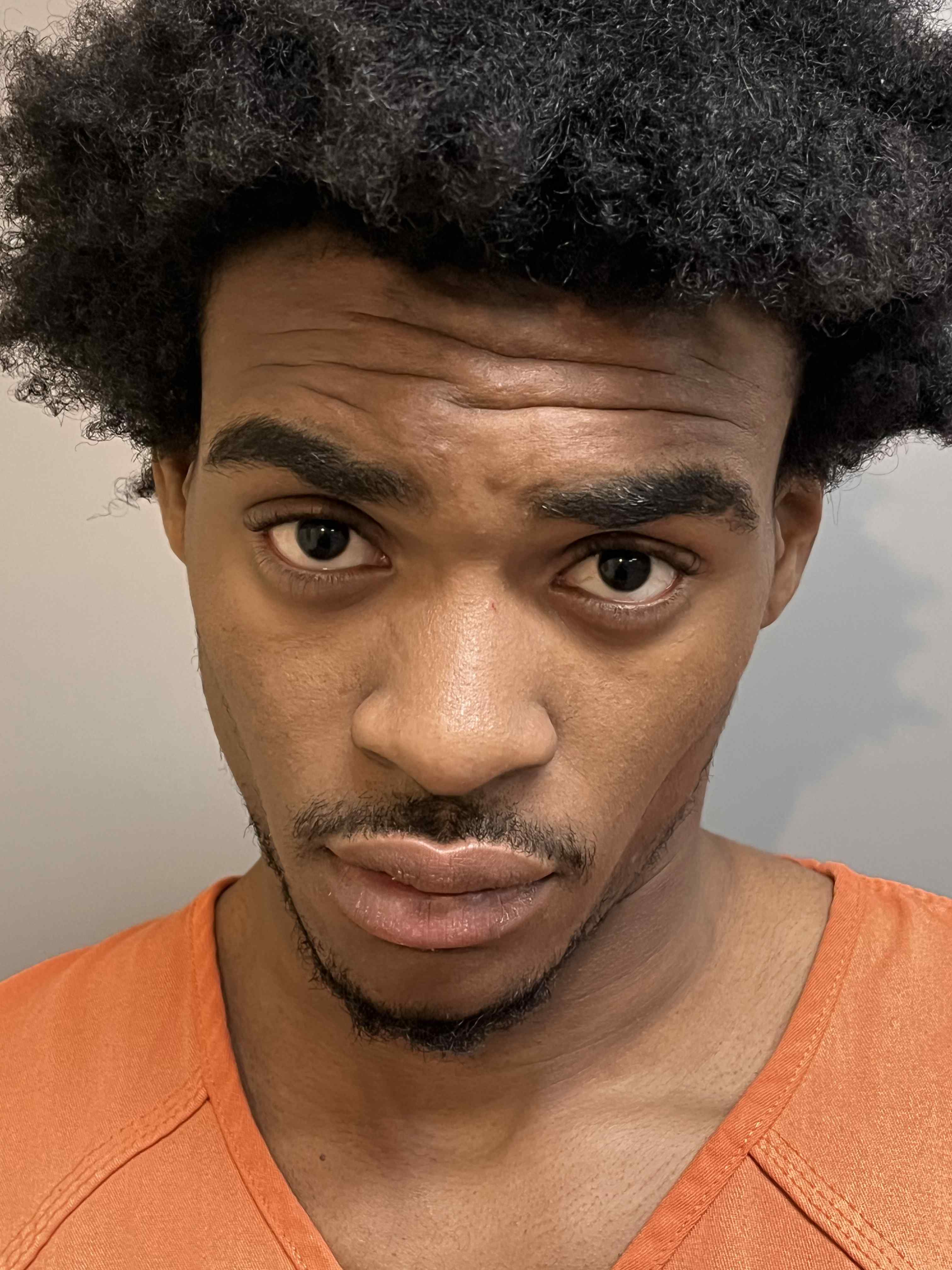 Booking and Release - GCSheriff.org