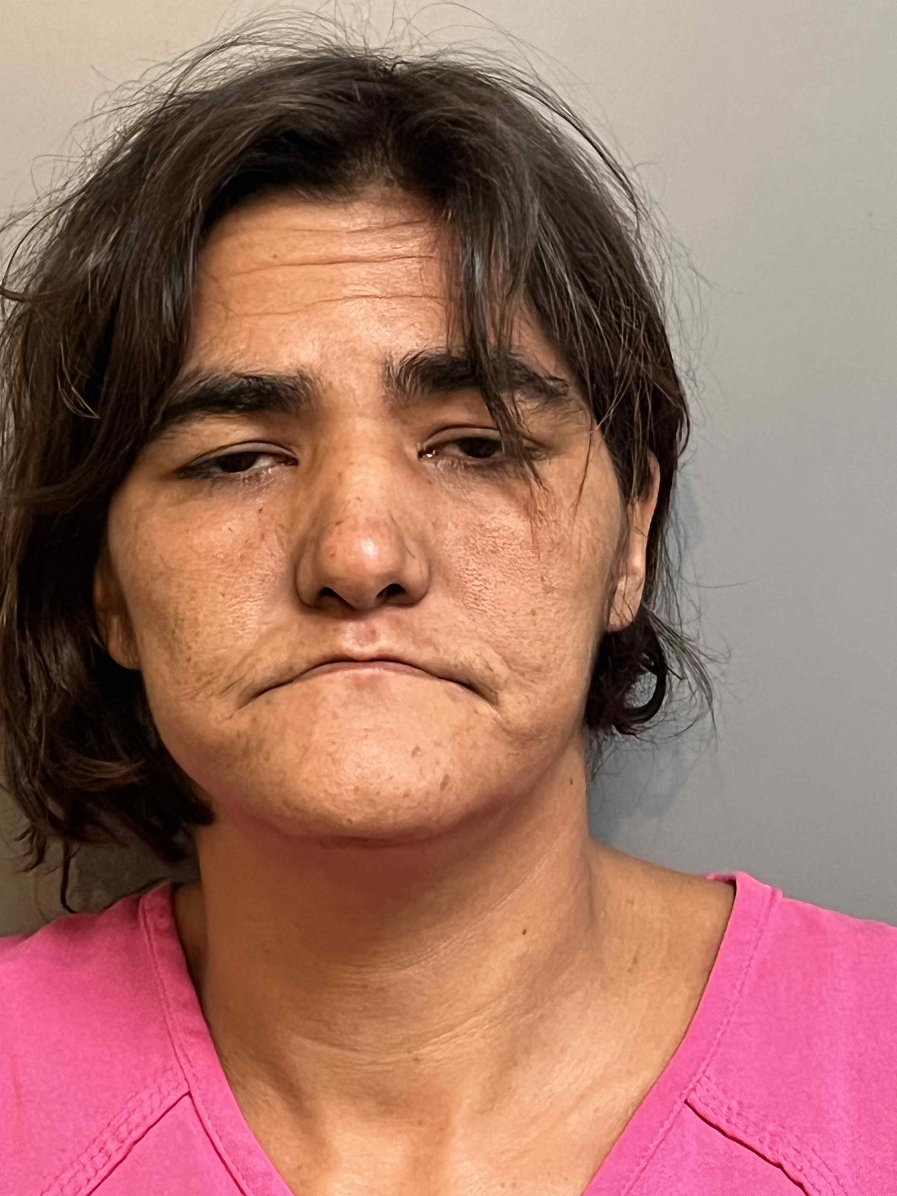 Booking and Release - GCSheriff.org