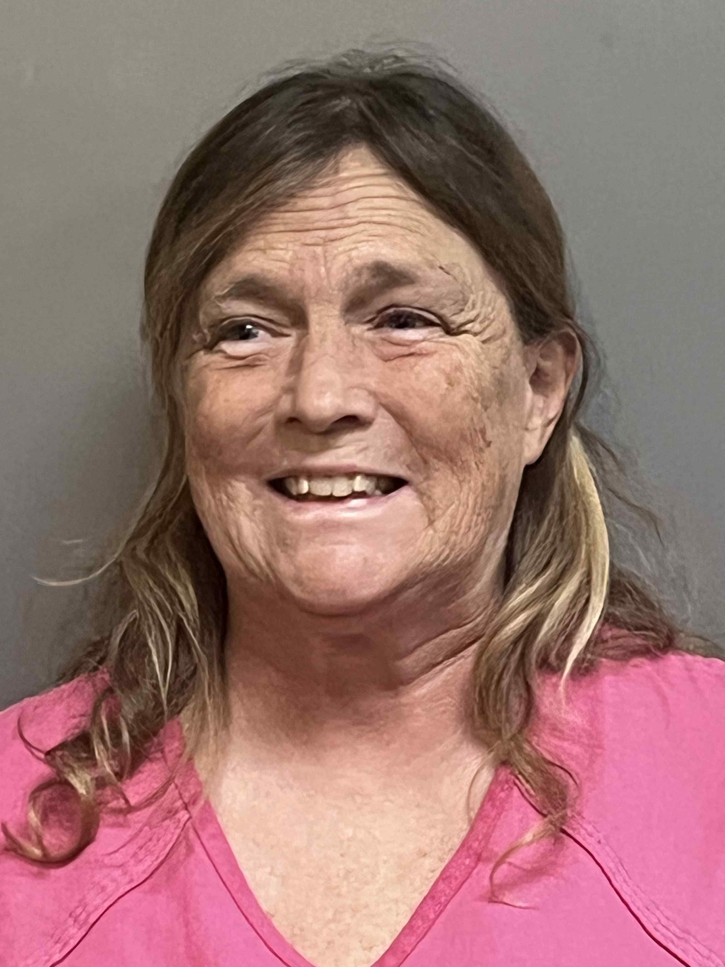 Booking and Release - GCSheriff.org