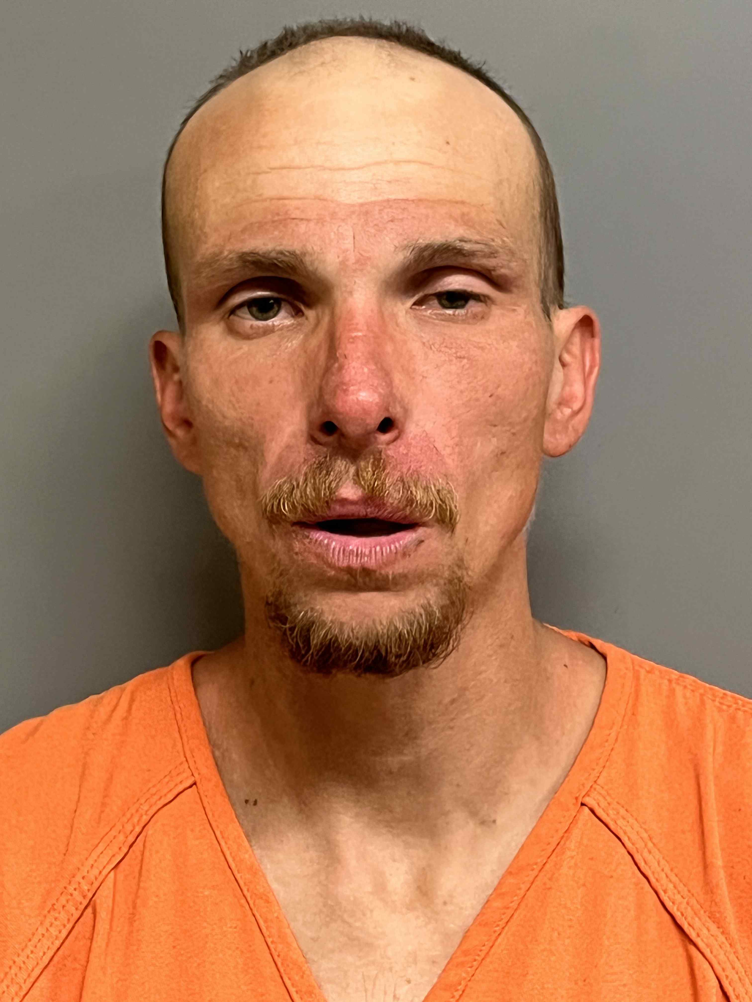 Booking and Release - GCSheriff.org