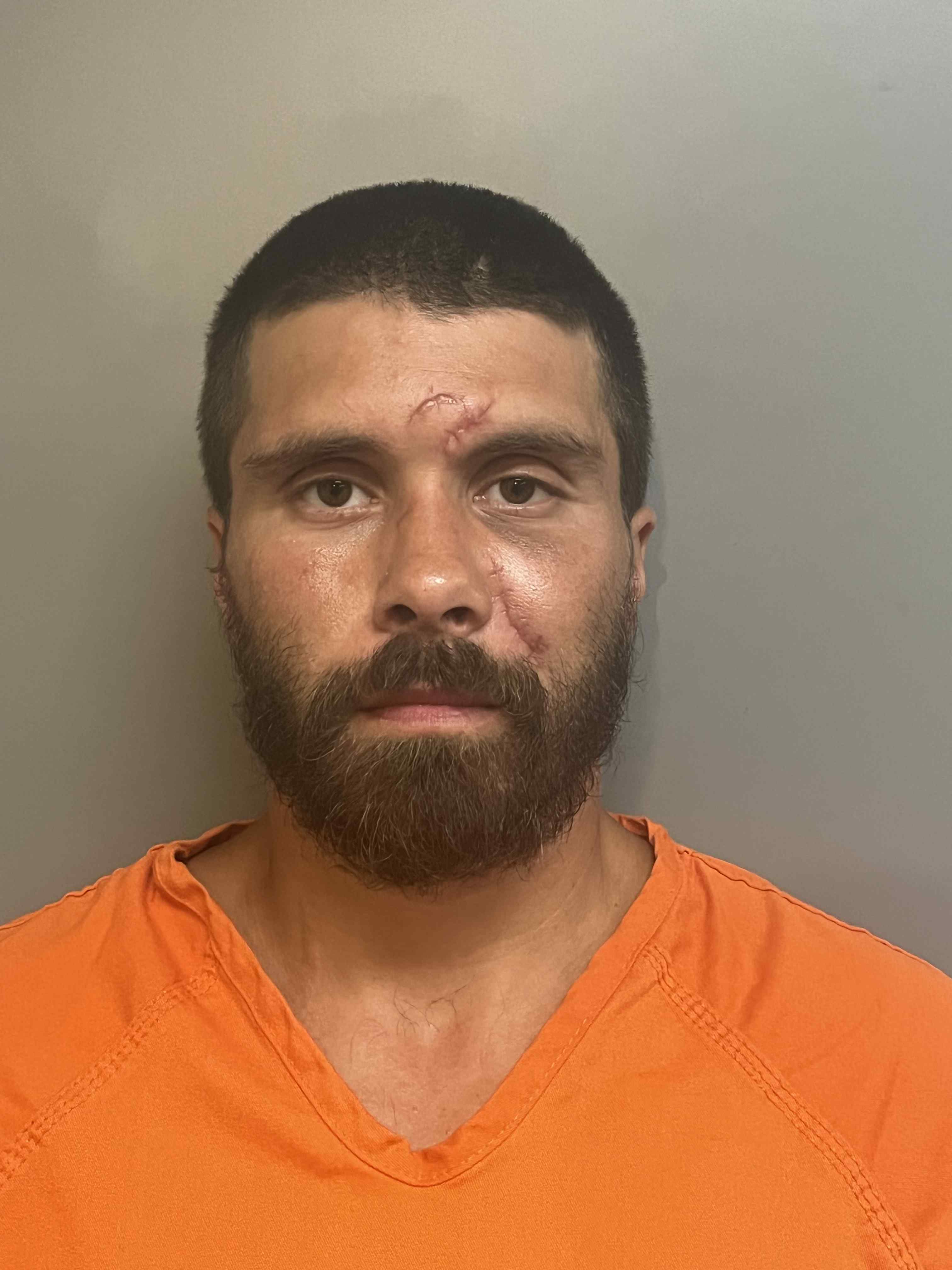 Booking and Release - GCSheriff.org