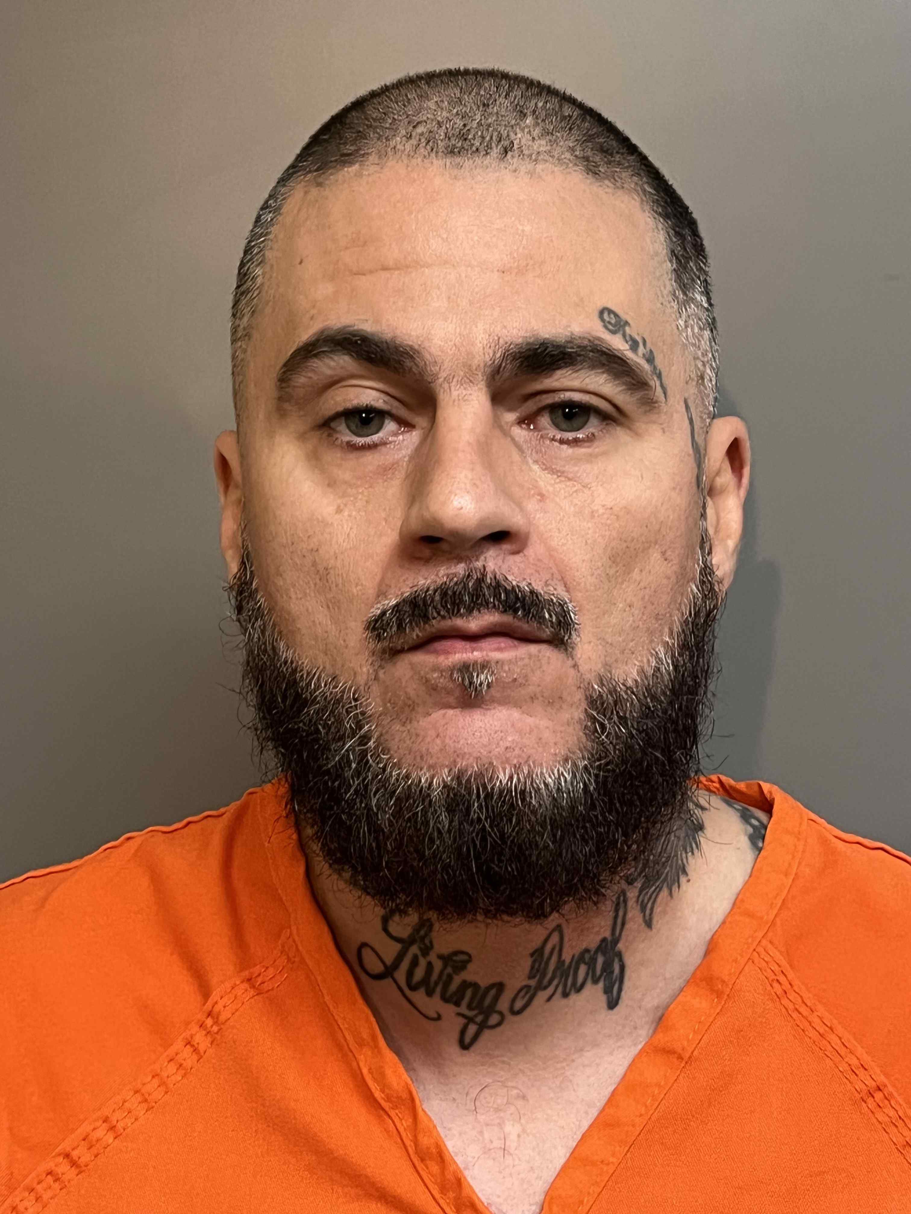 Booking and Release - GCSheriff.org