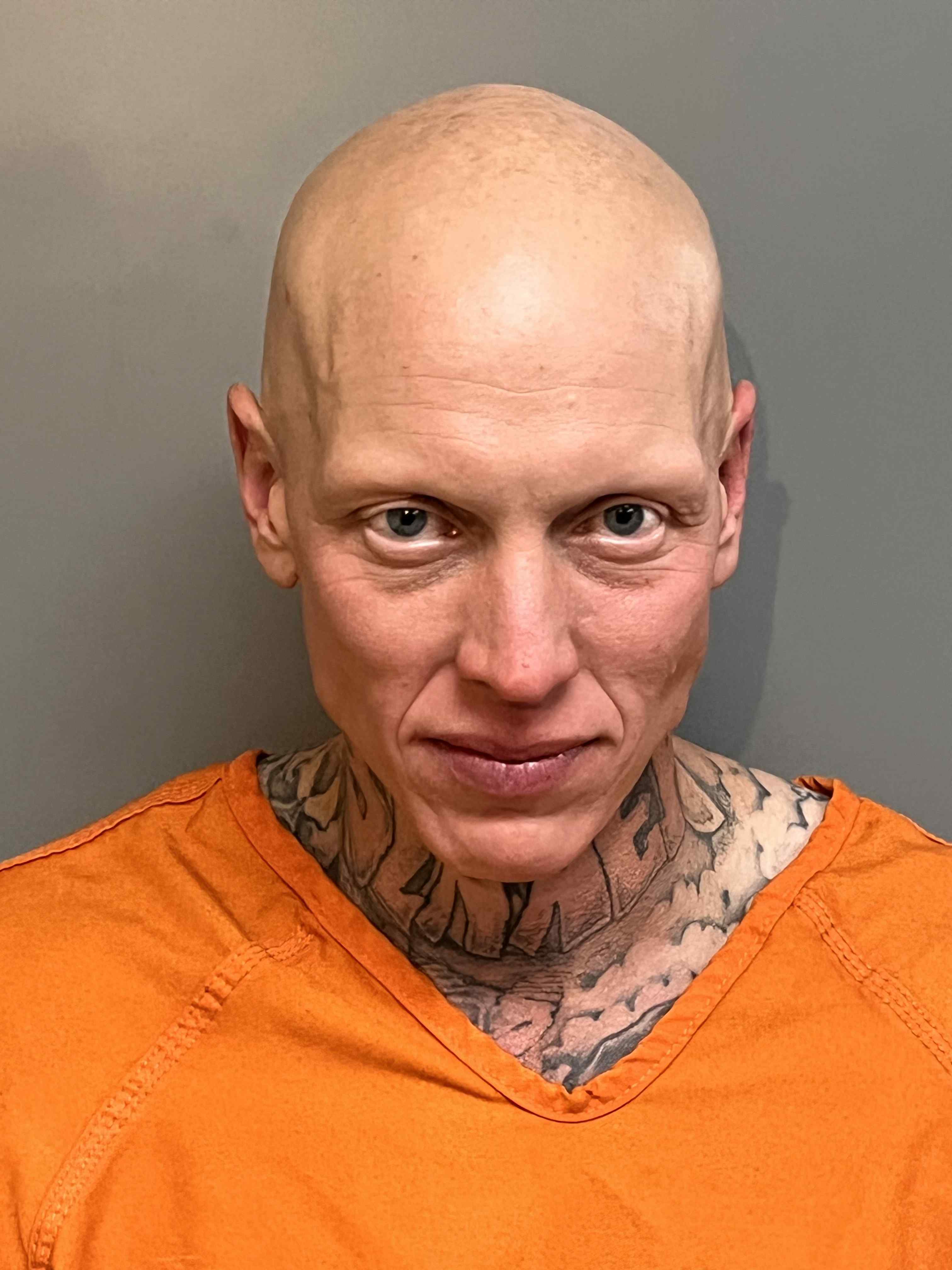 Booking and Release - GCSheriff.org