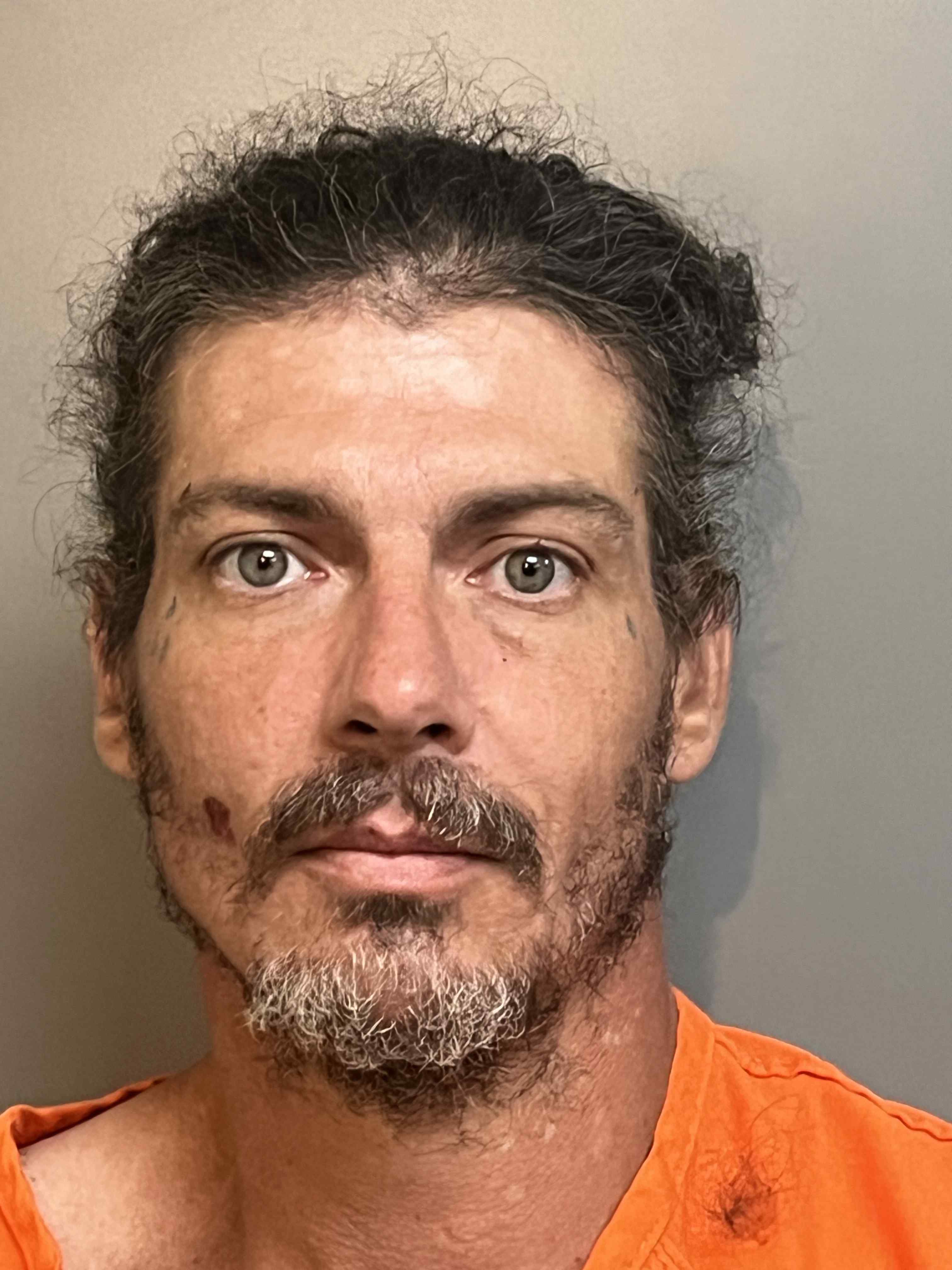 Booking and Release - GCSheriff.org