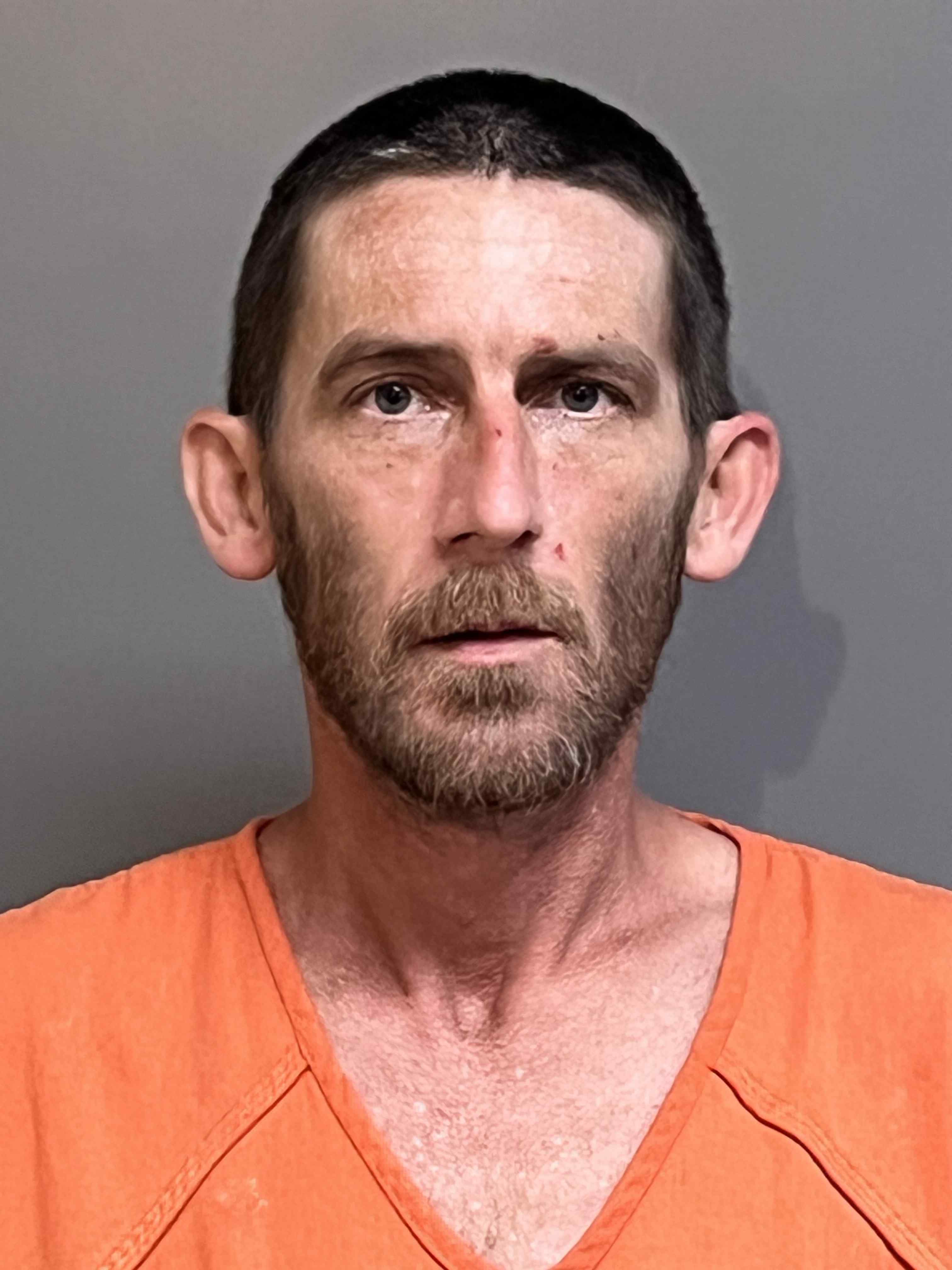 Booking and Release - GCSheriff.org